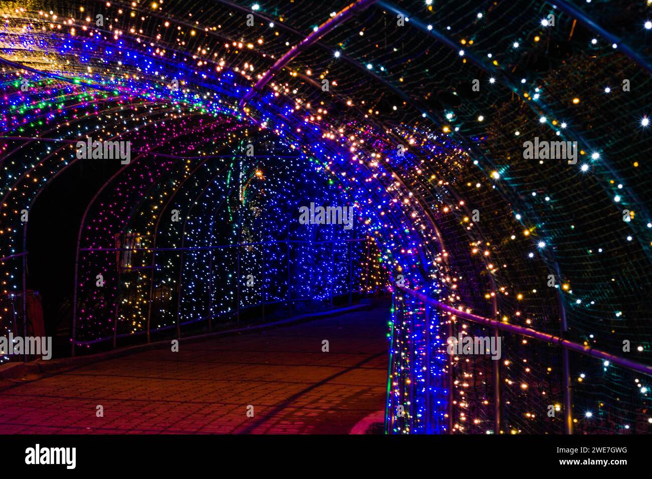 Night photo of tunnel made up of small red, blue, green and white ...