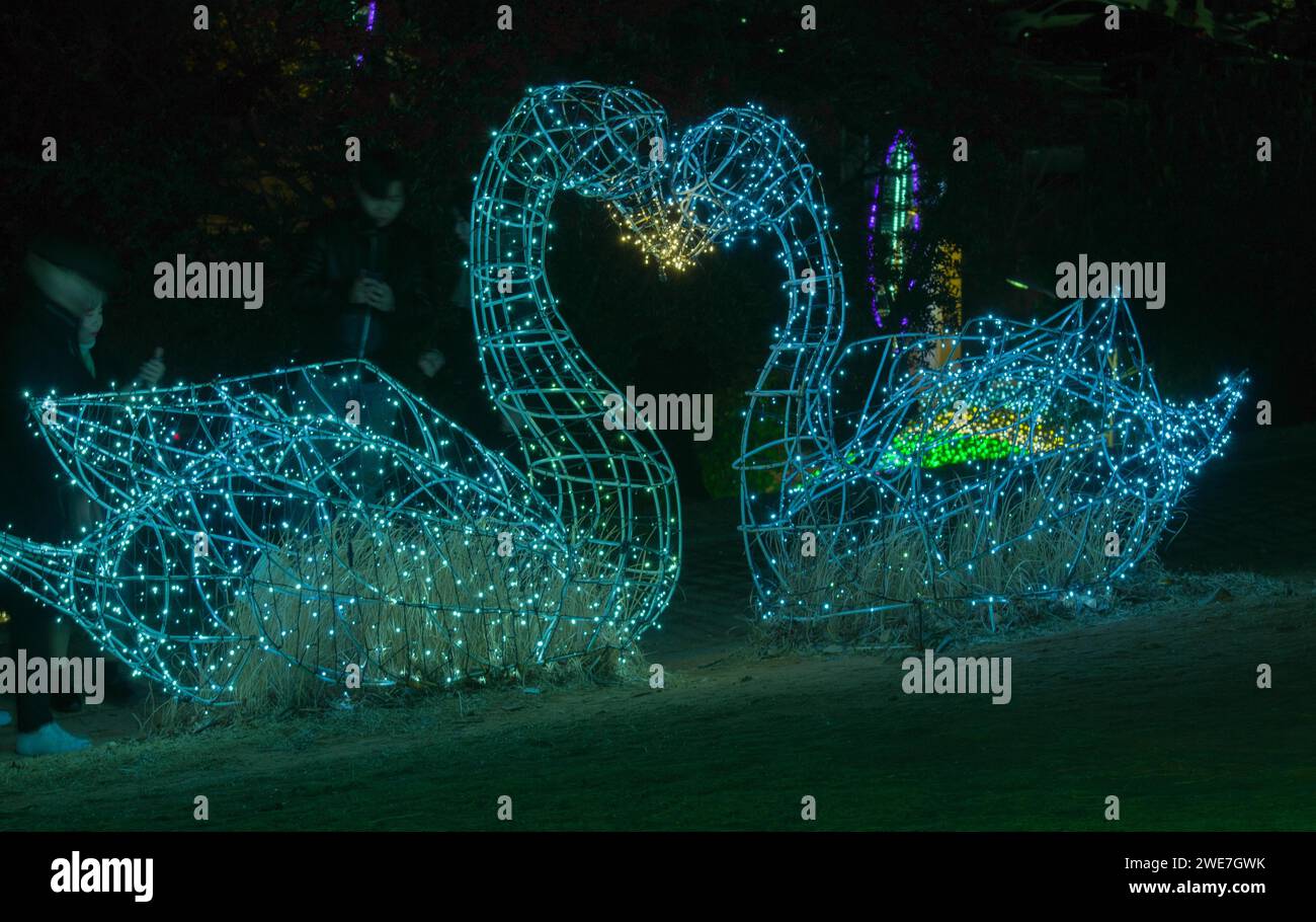 White christmas lights hi-res stock photography and images - Alamy