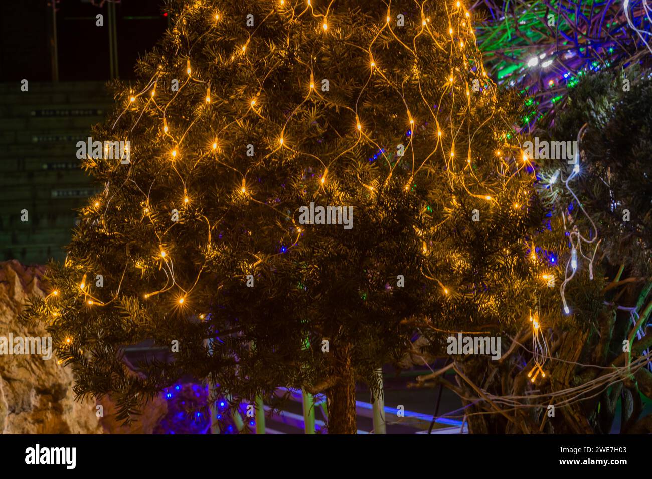 Christmas lights illuminating evergreen tree at night in South Korea ...