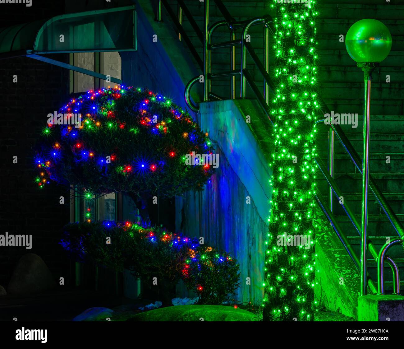 Christmas lights on sculpted evergreen trees next to concrete stairway ...