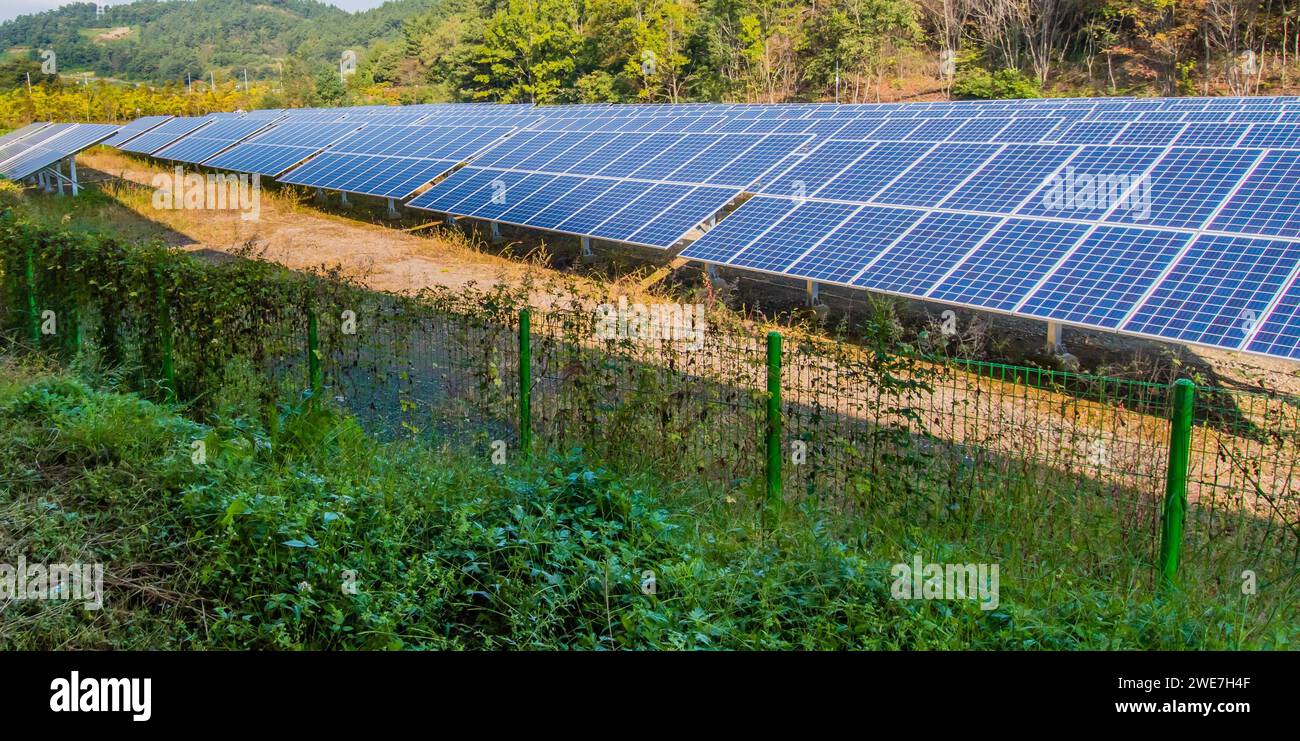 Large solar panel array in a woodland park in South Korea Stock Photo ...