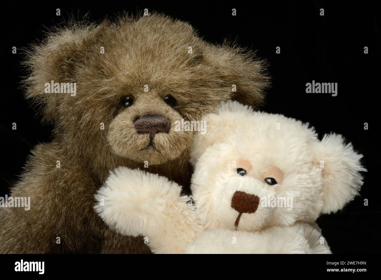 Two teddy bears, teddy Stock Photo - Alamy