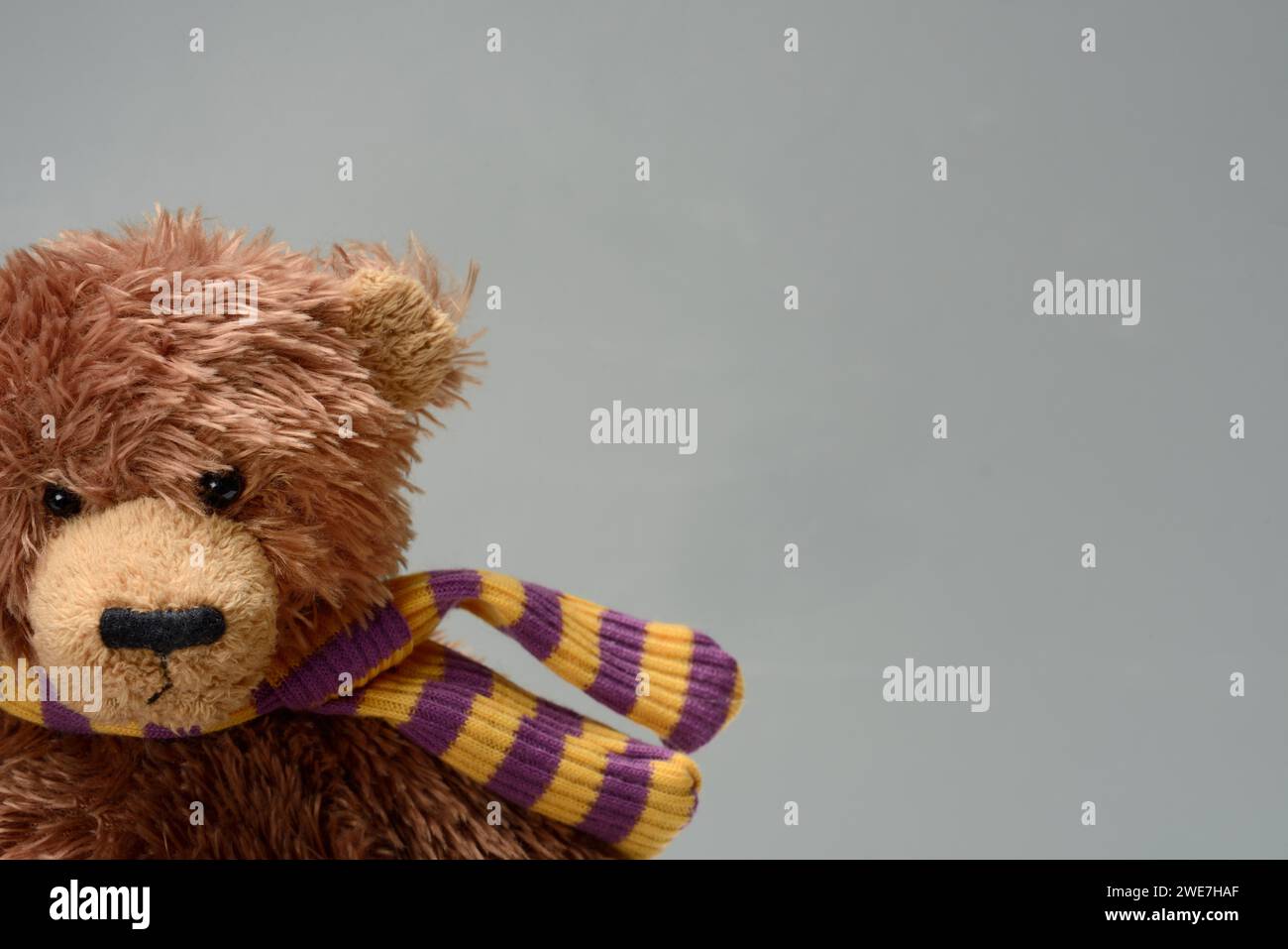 Teddy bear, Teddy Stock Photo - Alamy
