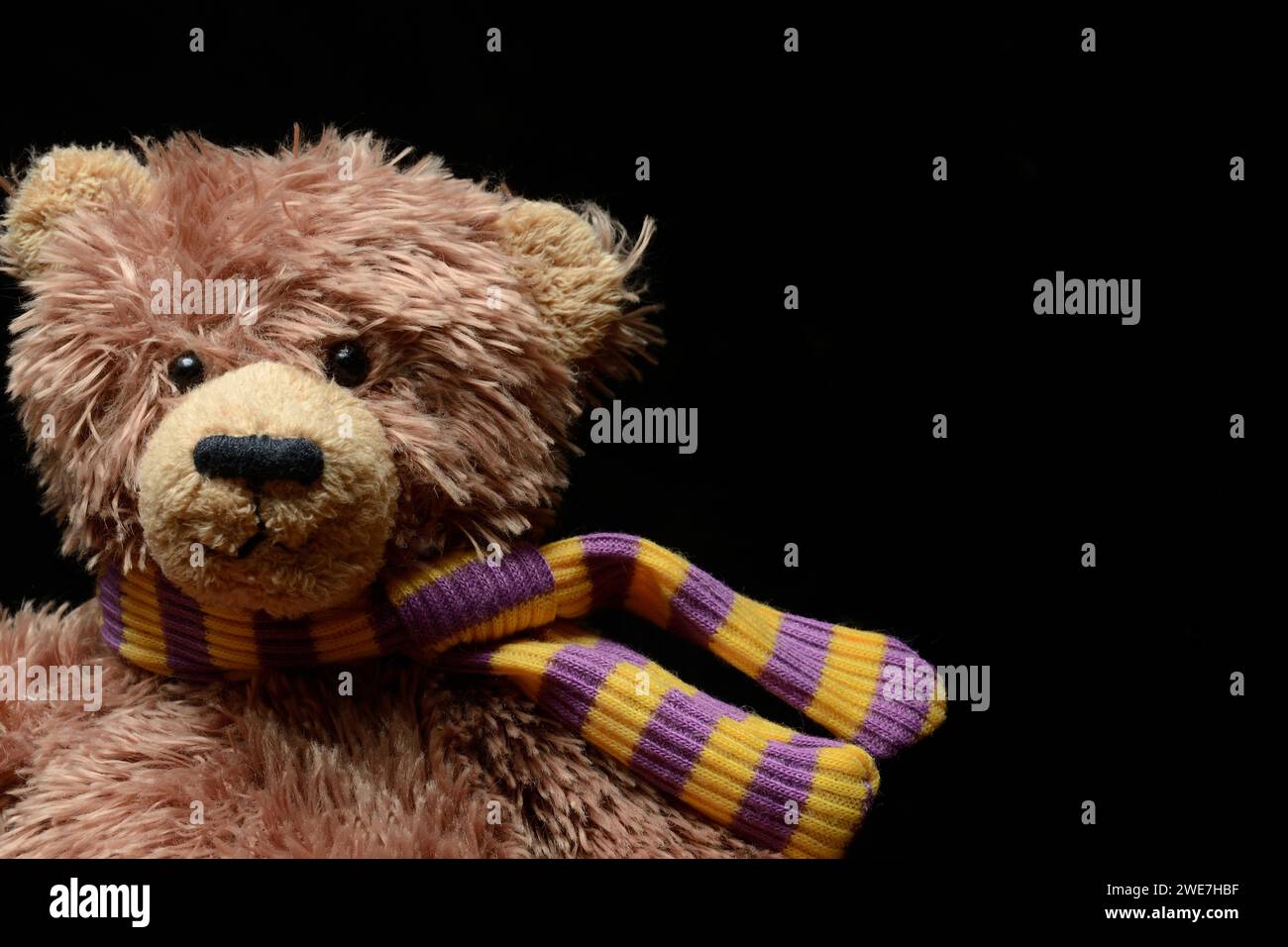 Teddy bear, Teddy Stock Photo - Alamy