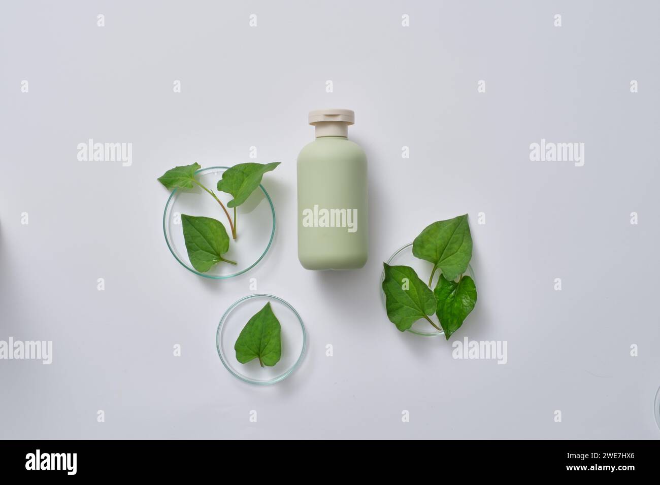 Helps with dishes hi-res stock photography and images - Alamy