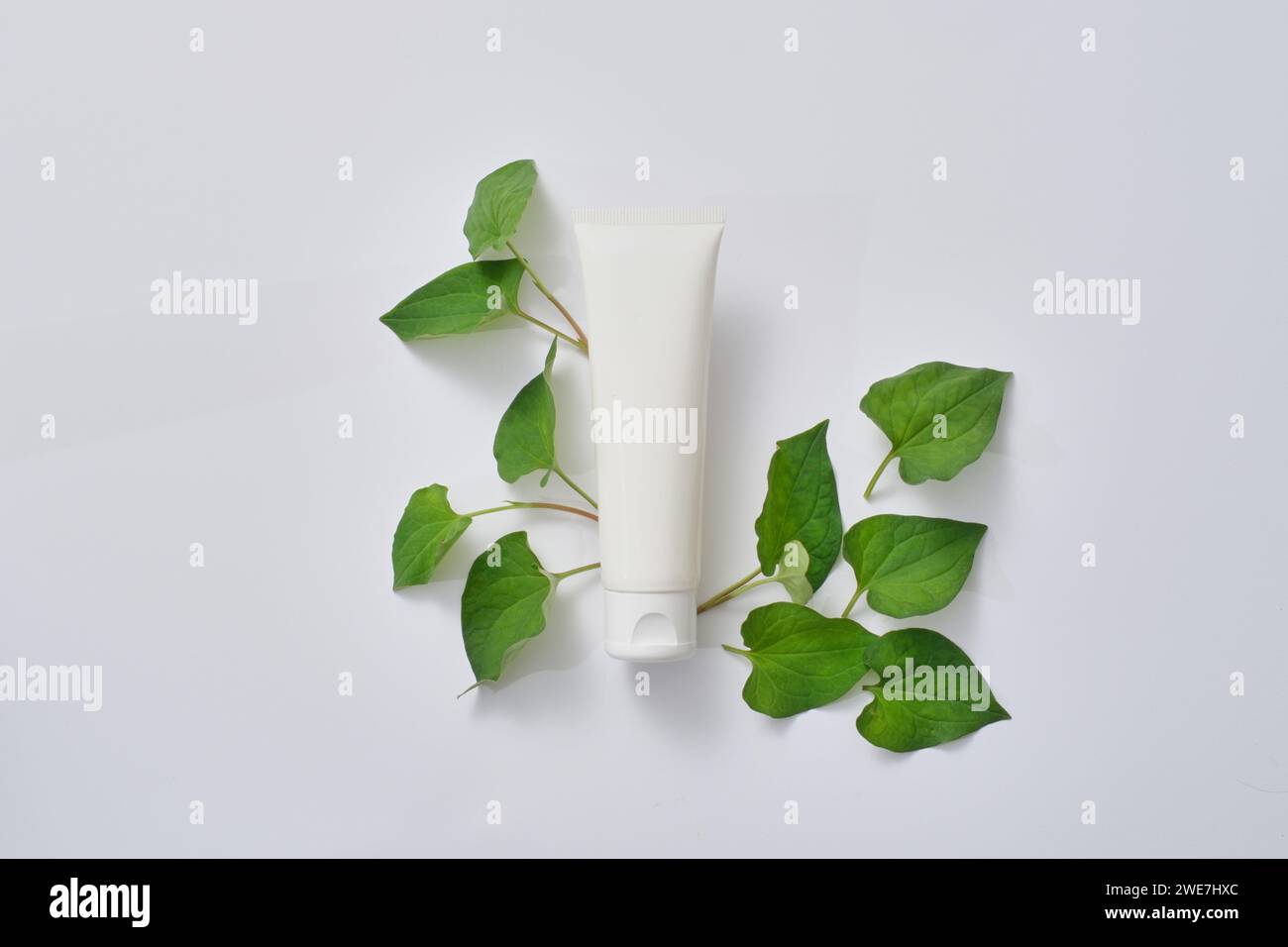 White cosmetic tube placed on white background with some fish mint ...