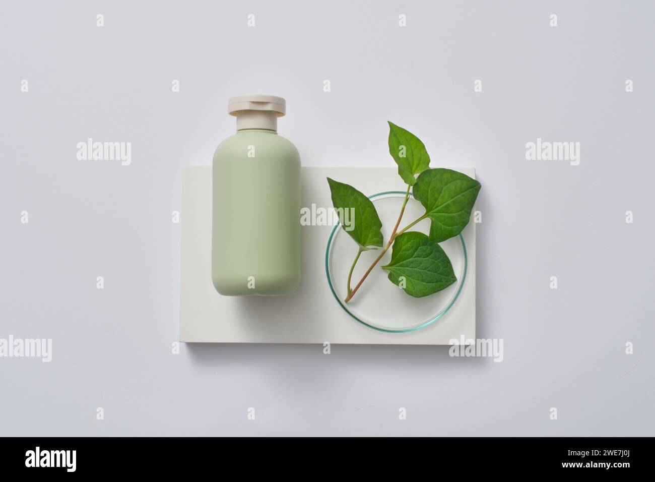 Rectangle podium with a pastel cosmetic bottle and a petri dish of fish ...
