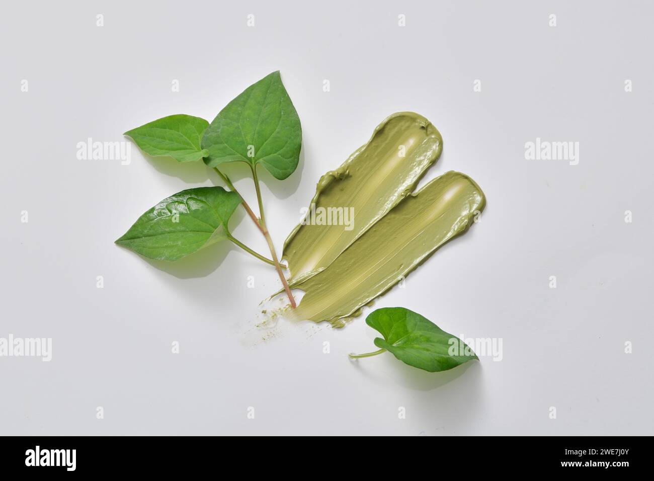 Green smears of cosmetic cream texture decorated with fish mint leaves ...