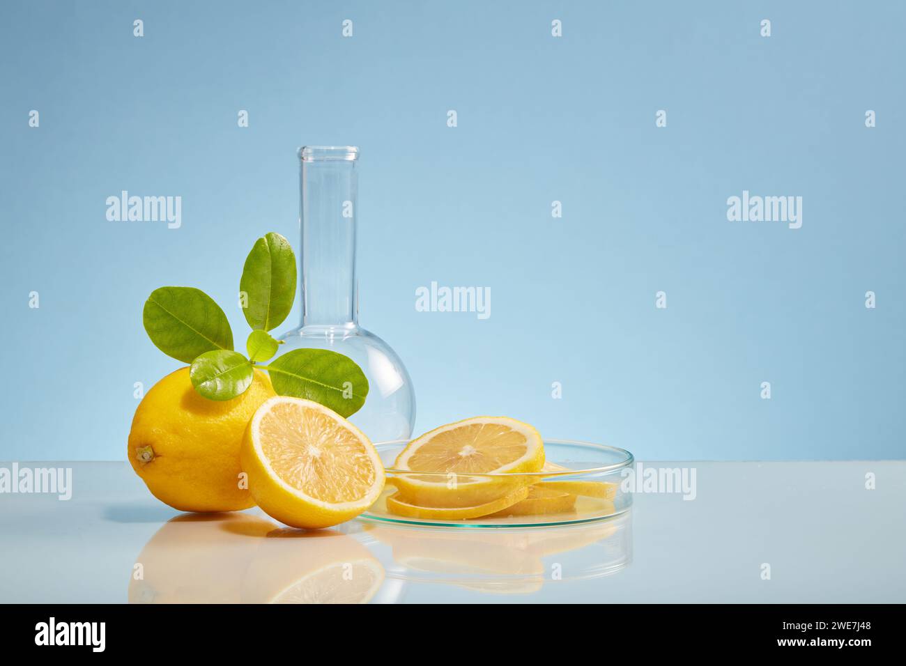 Glass petri dish containing several lemon slices decorated with a flat ...
