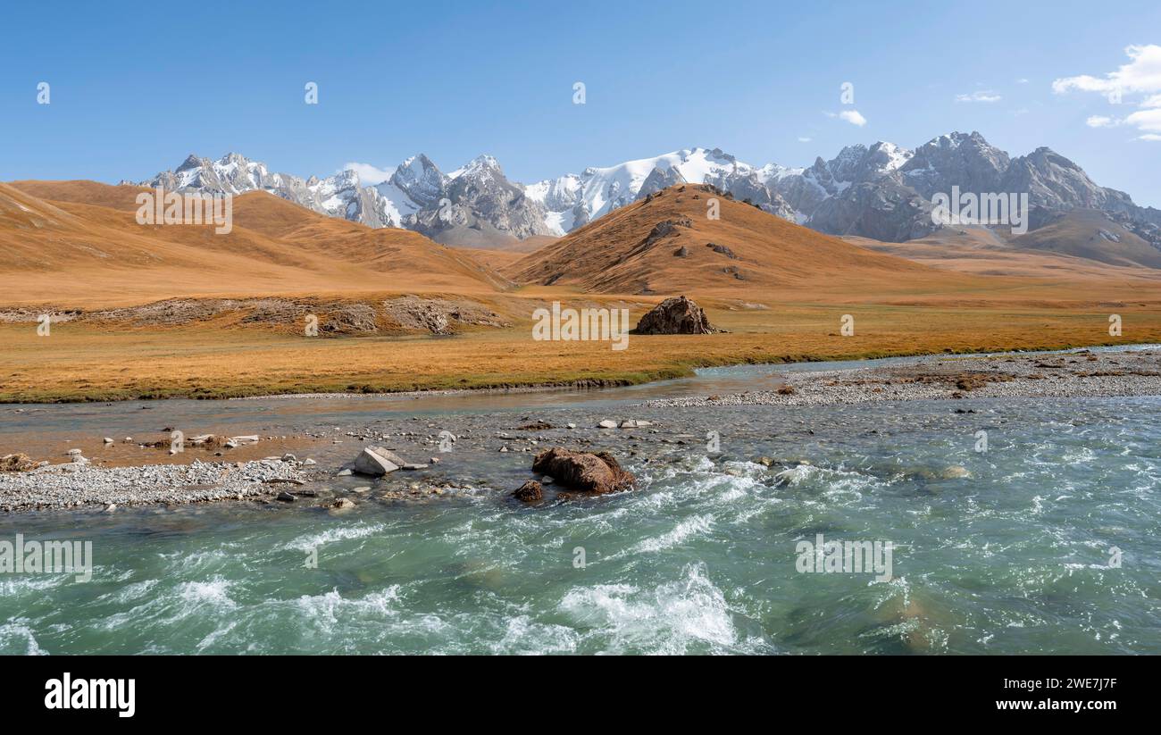 Mountain landscape with yellow meadows and river Kol Suu, mountain peak ...