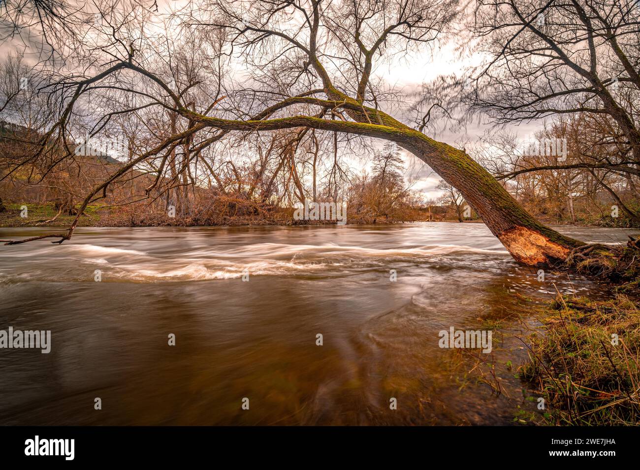 Long exposure of the river Saale in Jena at sunset, Jena, Thuringia ...