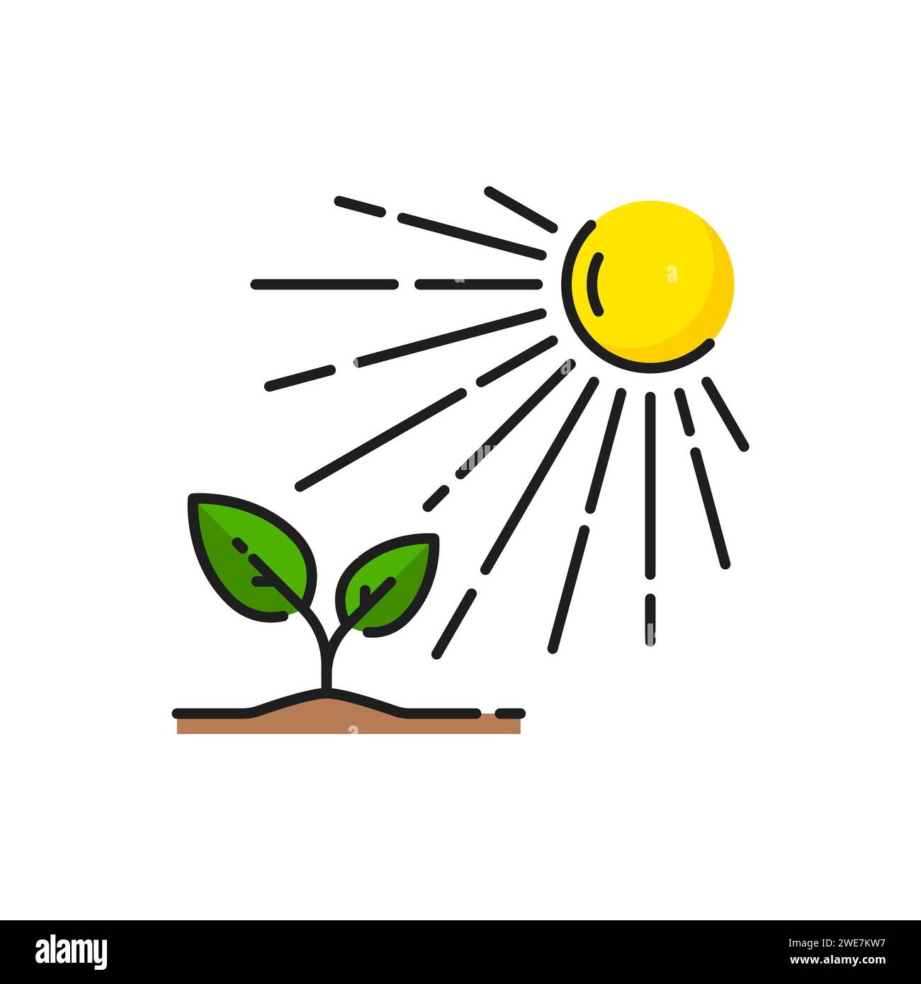 Plant growing line icon, sprout sprig with green leaves from soil under ...