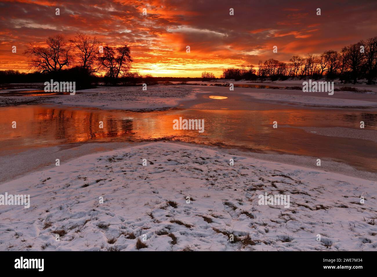 Winter floods 2024 on the Elbe and Mulde rivers with flooding of the ...