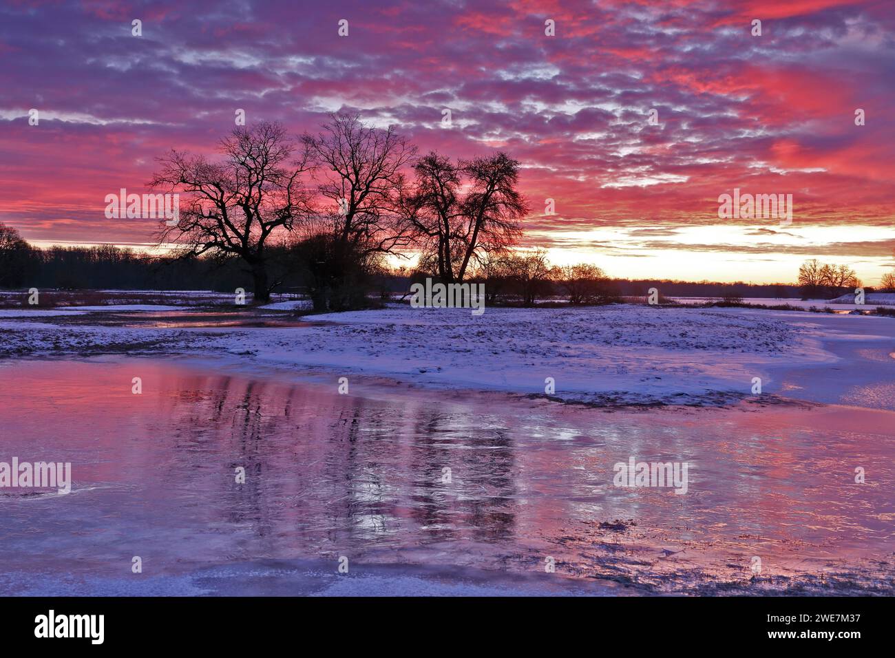 Winter floods 2024 on the Elbe and Mulde rivers with flooding of the ...