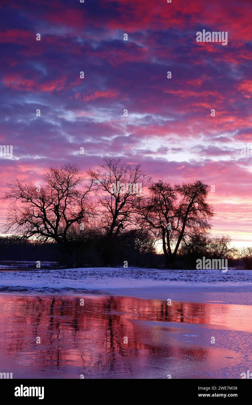 Winter floods 2024 on the Elbe and Mulde rivers with flooding of the ...