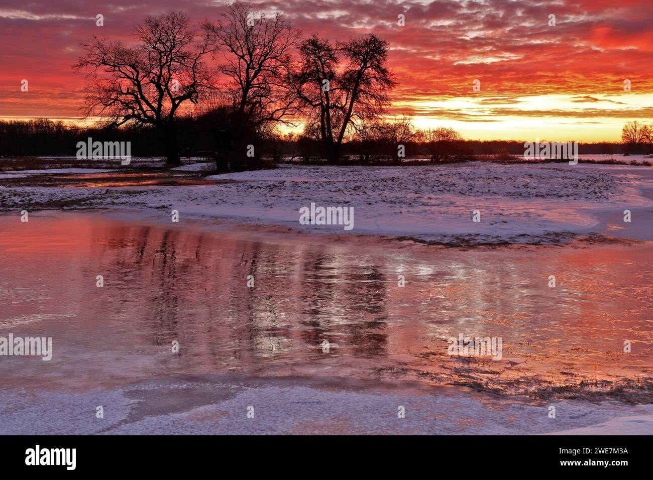 Winter floods 2024 on the Elbe and Mulde rivers with flooding of the ...