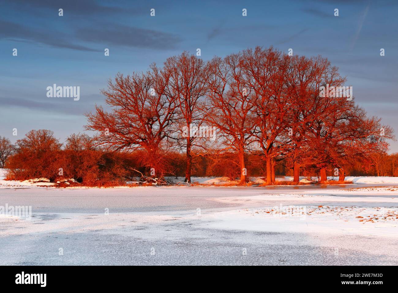 Winter floods 2024 on the Elbe and Mulde rivers with flooding of the ...
