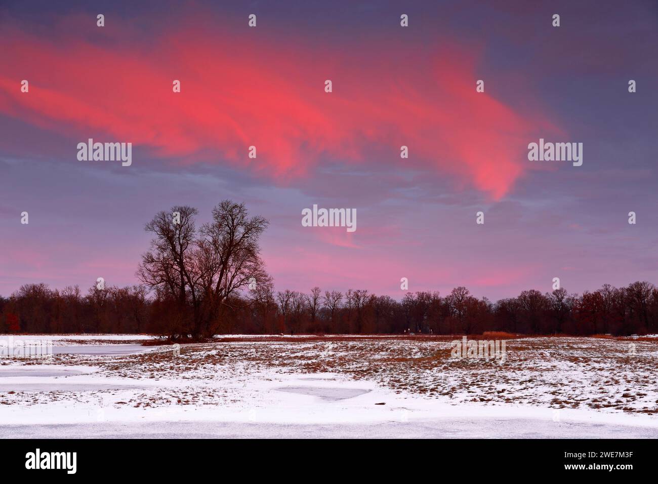 Winter floods 2024 on the Elbe and Mulde rivers with flooding of the ...