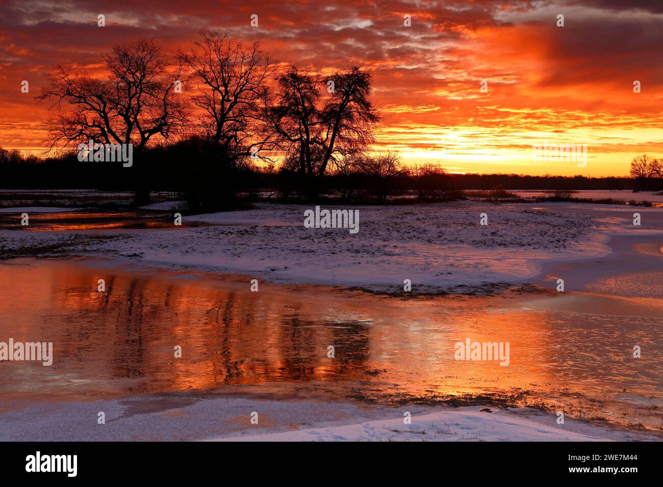 Winter floods 2024 on the Elbe and Mulde rivers with flooding of the ...