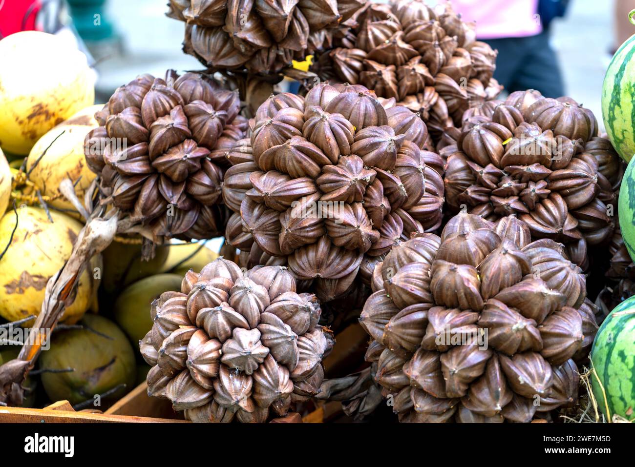 Nipa palm fruit hi-res stock photography and images - Alamy