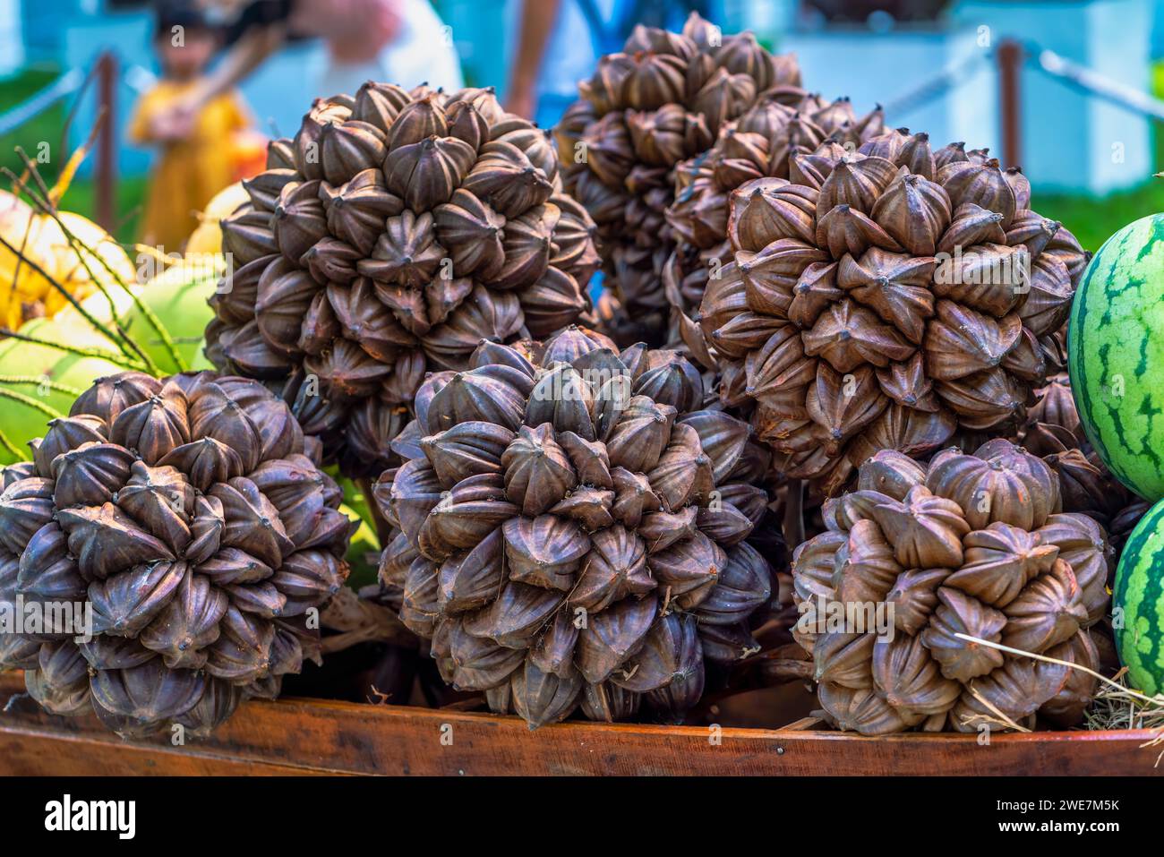 A group of Nipa palm's fruits from the mangrove forest are sold at the ...