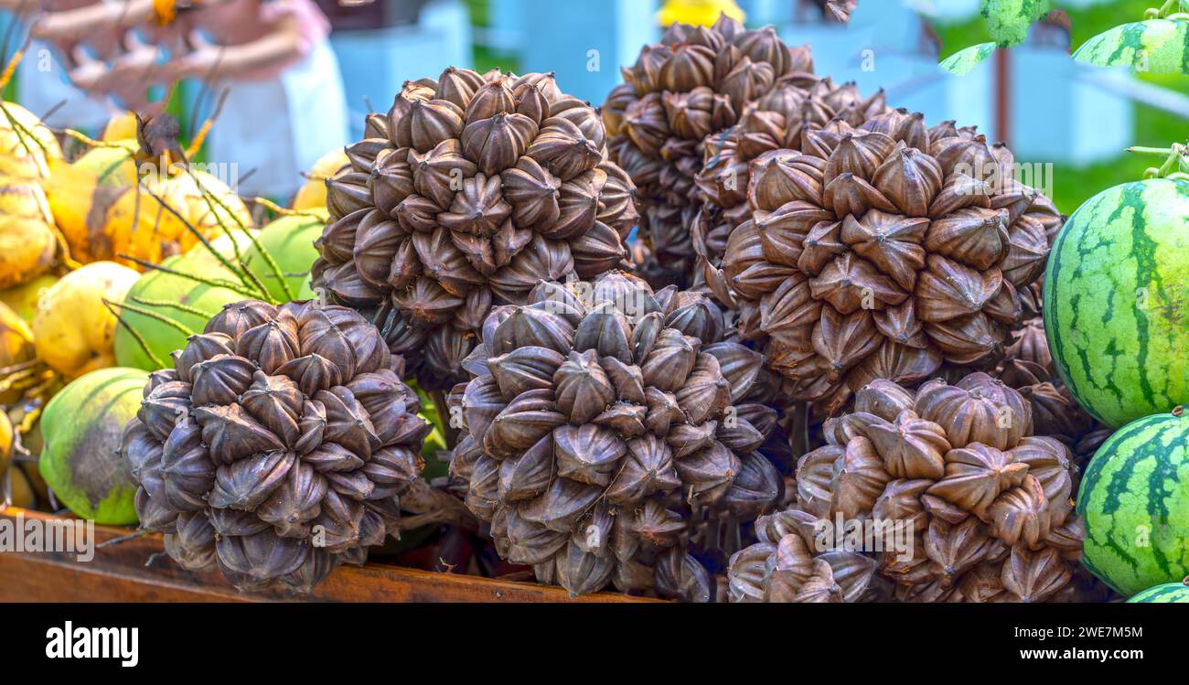 A group of Nipa palm's fruits from the mangrove forest are sold at the ...
