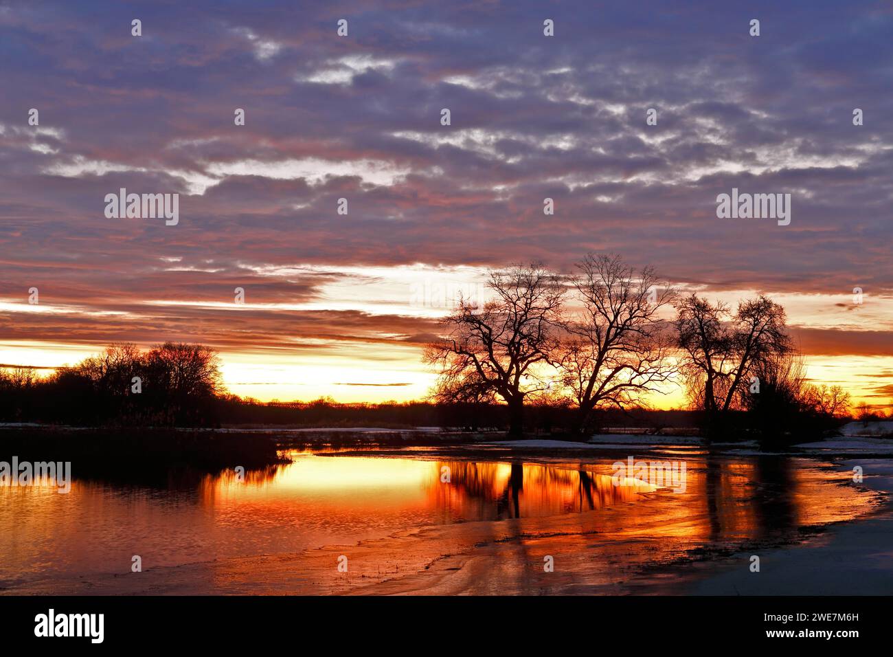 Winter floods 2024 on the Elbe and Mulde rivers with flooding of the ...