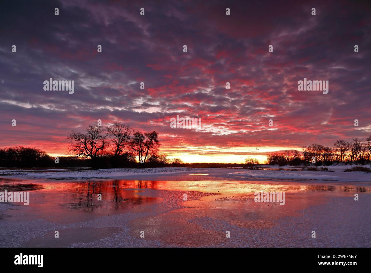 Winter floods 2024 on the Elbe and Mulde rivers with flooding of the ...