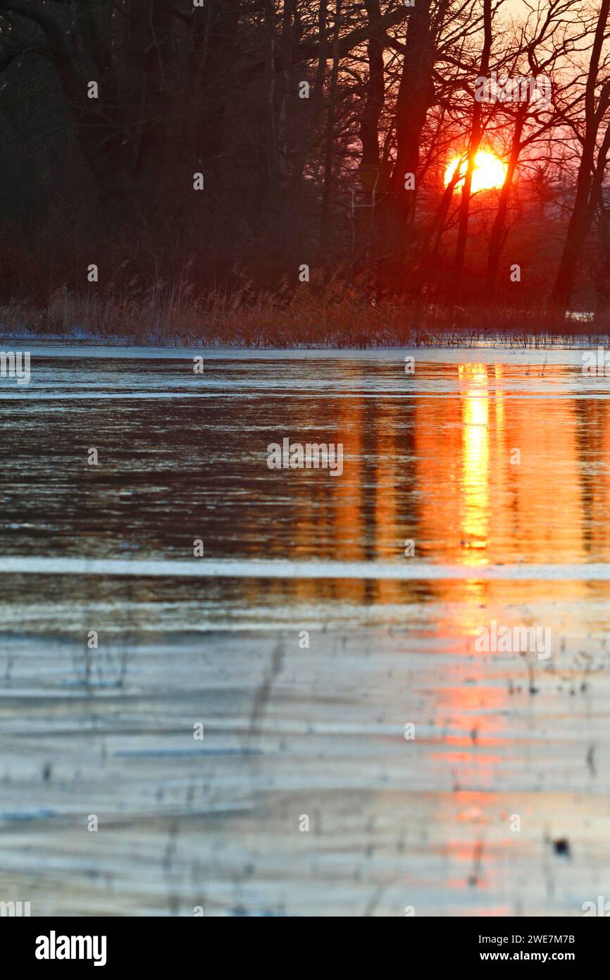 Winter floods 2024 on the Elbe and Mulde rivers with flooding of the ...