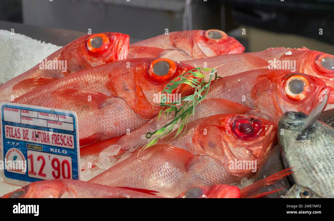 Playa Blanca fish market, Lanzarote Stock Photo - Alamy