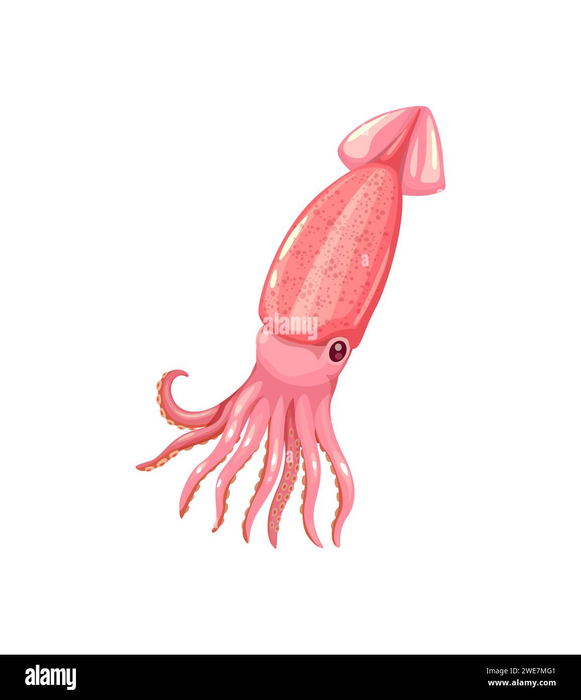 Cartoon squid hi-res stock photography and images - Alamy