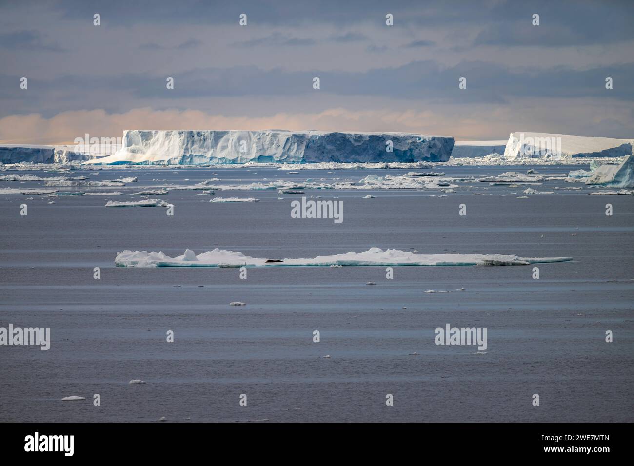 James ross island group hi-res stock photography and images - Alamy