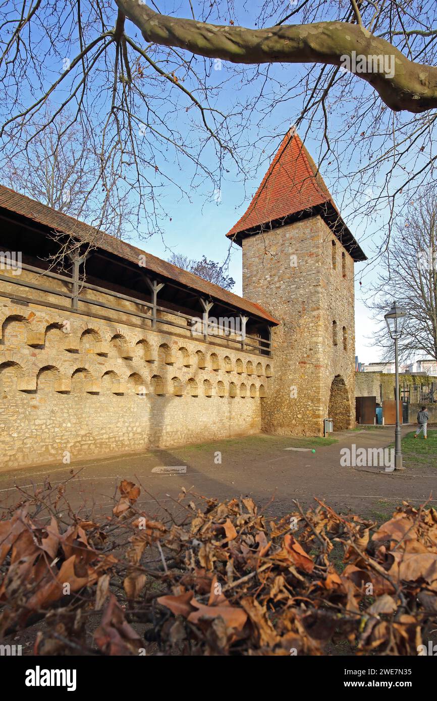 Historic town fortifications with dovecote tower, town wall with ...