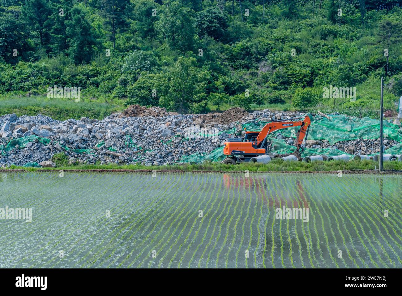 Wheeled backhoe in front of rocks pile with rice paddy in foreground in ...