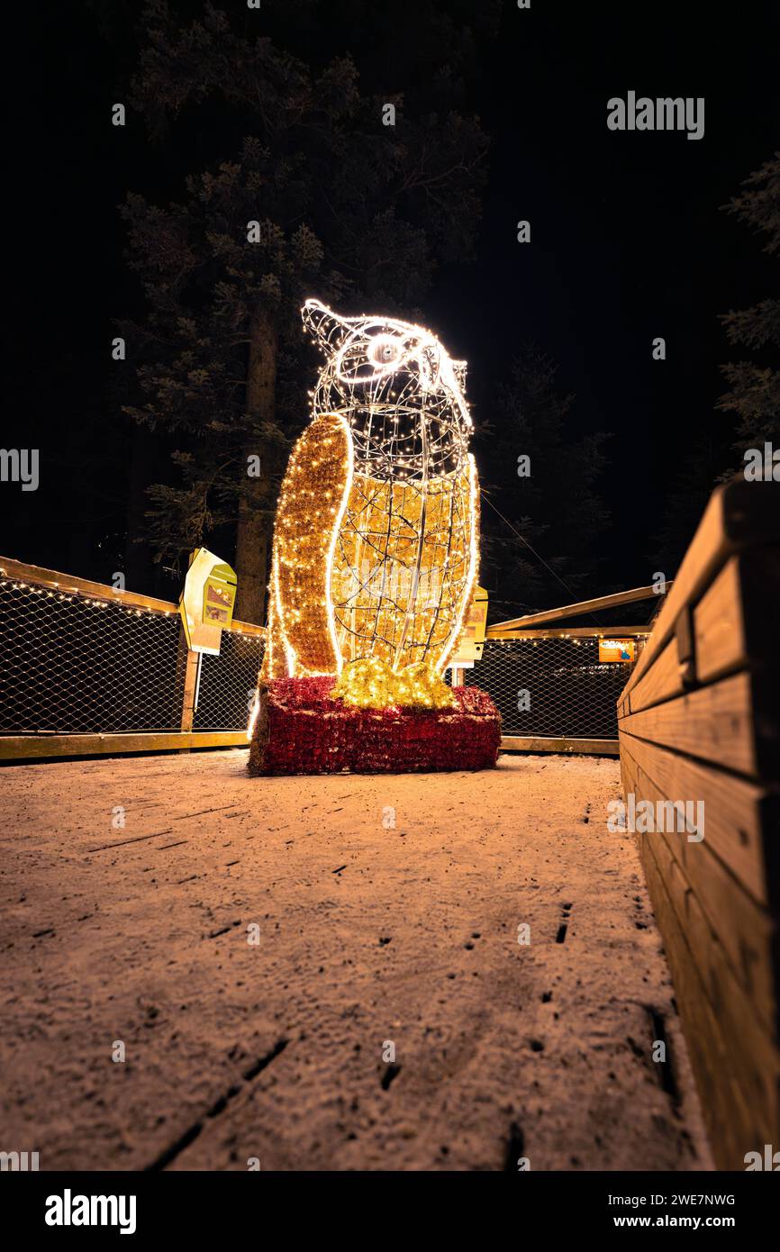 Shimmering light sculpture in the shape of a penguin at night ...