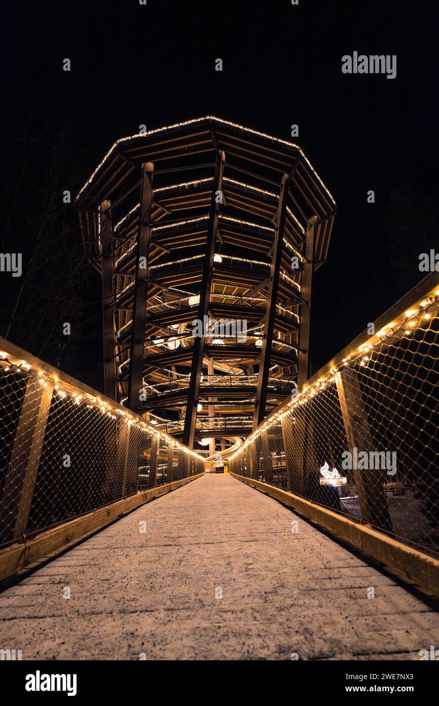 Night time treetop hi-res stock photography and images - Alamy