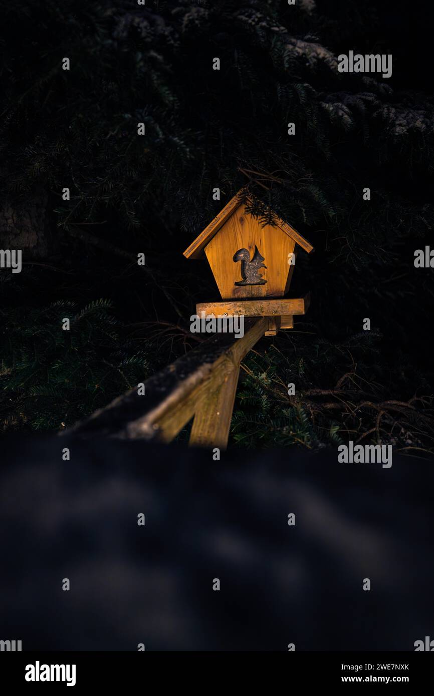 Single bird house illuminated in the dark, magical forest dwellers ...