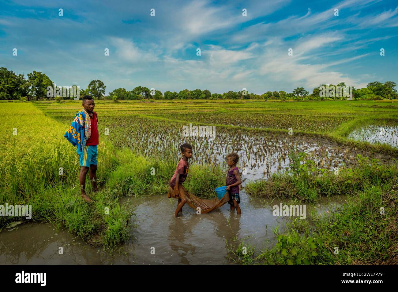 Family rice field hi-res stock photography and images - Alamy