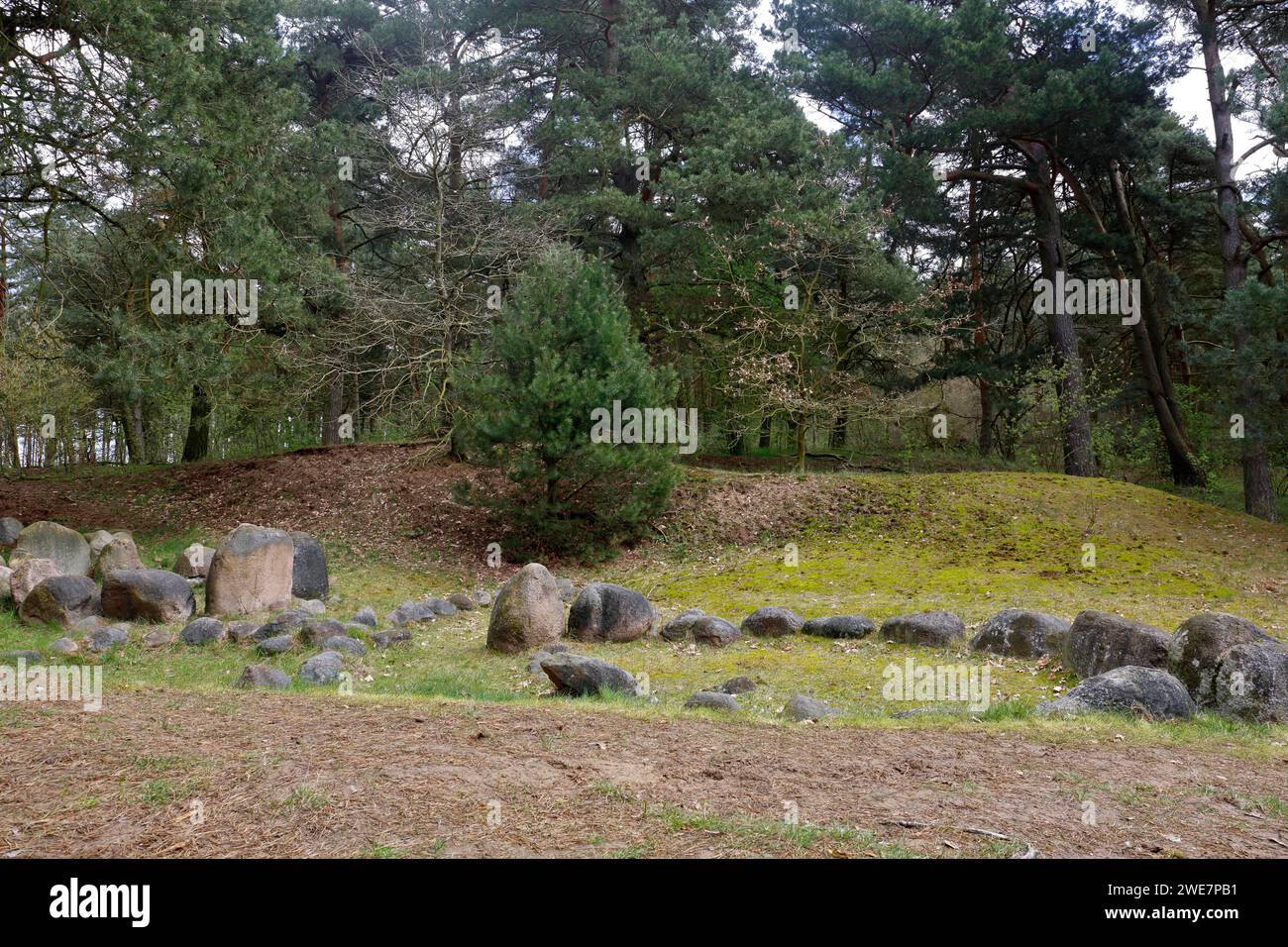 Parts of a Viking camp on the River Peene near Menzlin, Viking ...