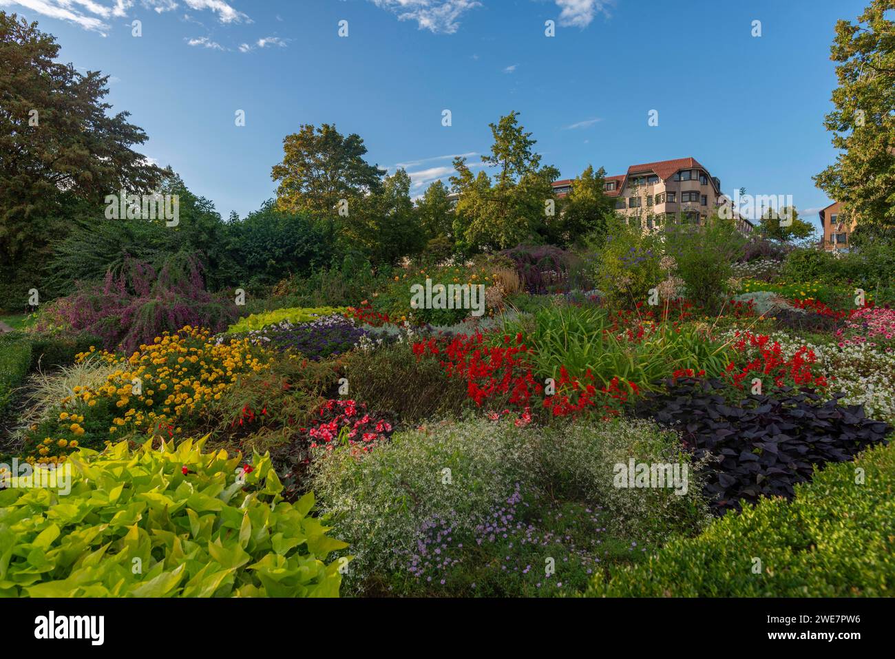 City garden friedrichshafen hi-res stock photography and images - Alamy