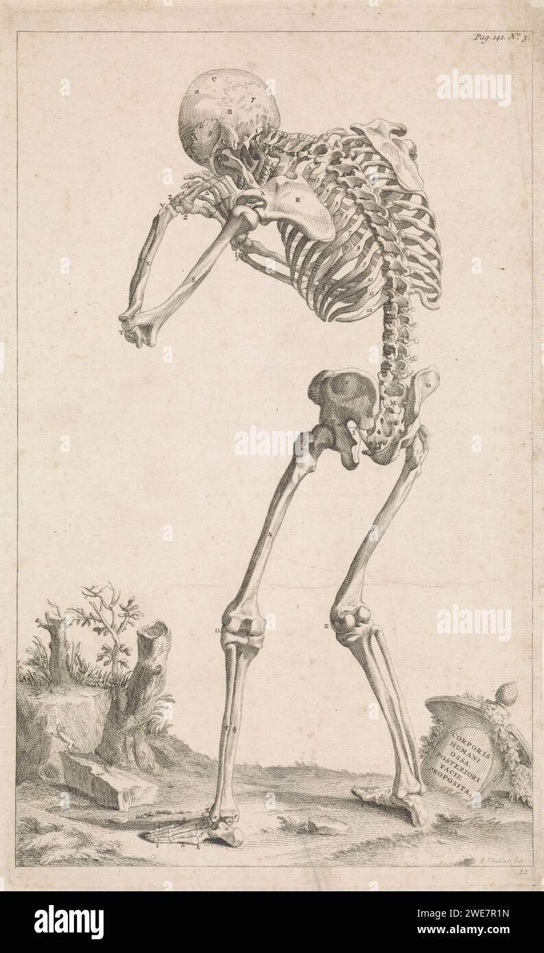 Landscape with Skelete, Jan Wandelaar, 1725 print A human skeleton with ...