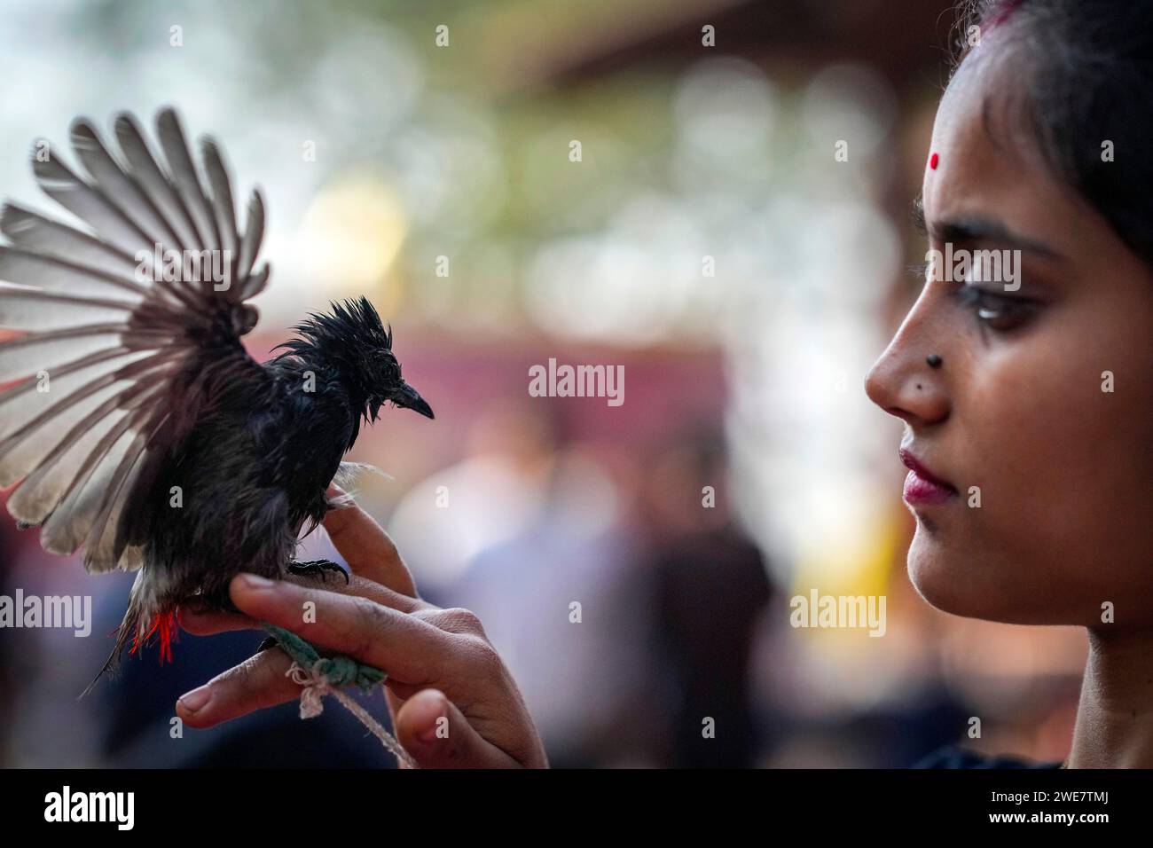 A bird owner waits for her bulbul bird to fight during the Magh Bihu ...