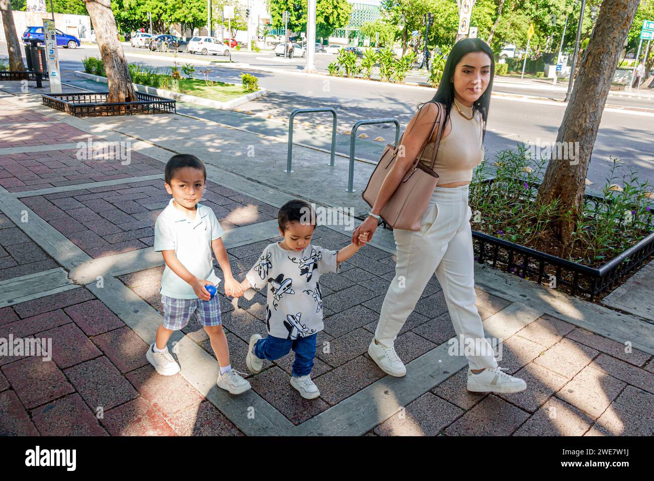 Merida Mexico,Zona Paseo Montejo Centro,Avenida Colon,family parent ...