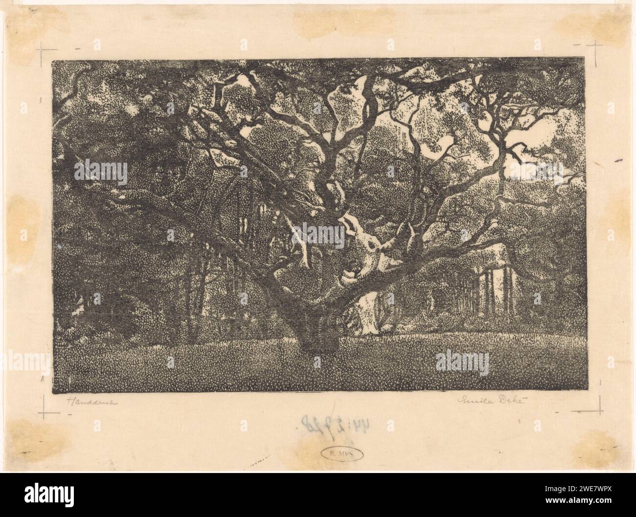 Bos in Bergen, Emilius William dephe, 1896 - 1944 print paper forest ...