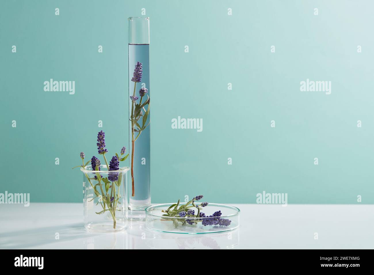 Measuring cylinder, beaker and petri dish arranged against pastel blue ...