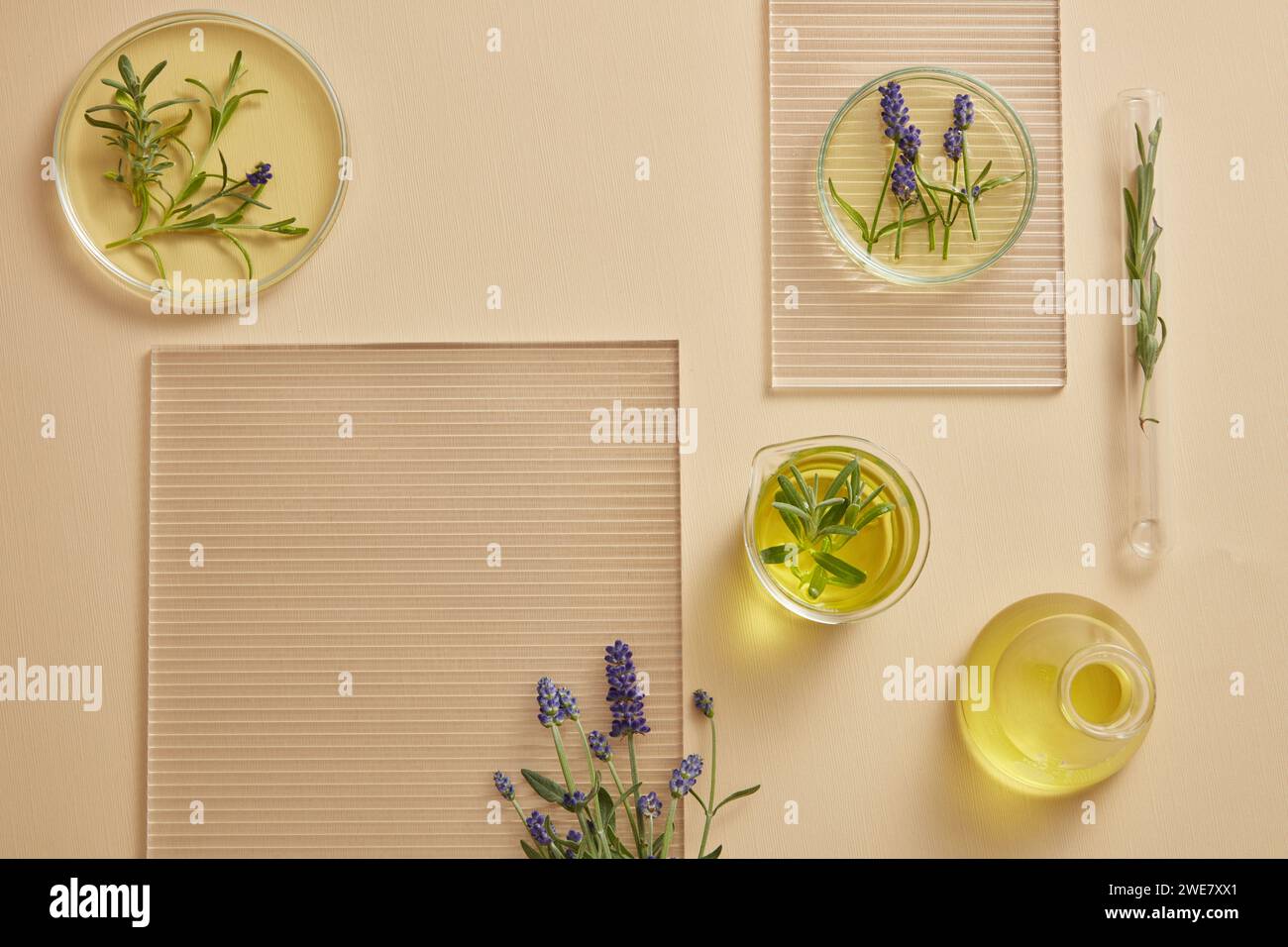 Flat lay view of several glassware decorated on beige background with ...