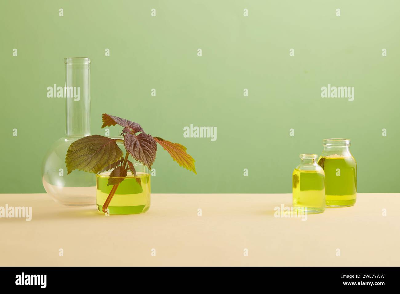 Over the beige plane featured a flat-bottom florence flask, beaker and ...