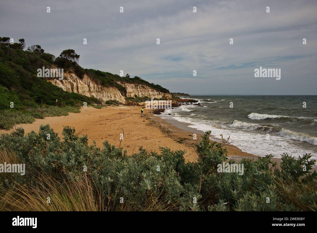 Beautiful sandy beach in Melbourne, Australia Stock Photo - Alamy