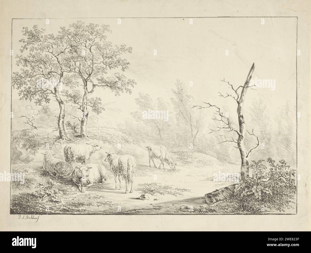 Landscape with sheep and goat, Job Augustus Bakker, c. 1820 print There ...