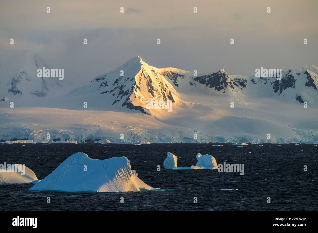 Iceberg floating in Mikkelsen Harbour, Antarctica Stock Photo - Alamy